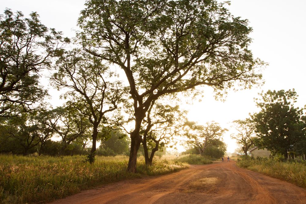 Savannah Overview - Savannah Education Trust